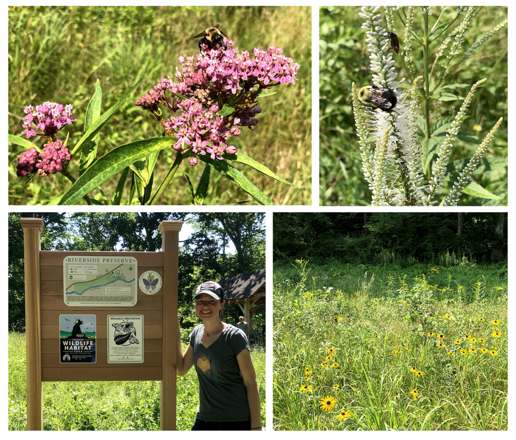 Sue Cope Meadow - Lyme Land Conservation Trust