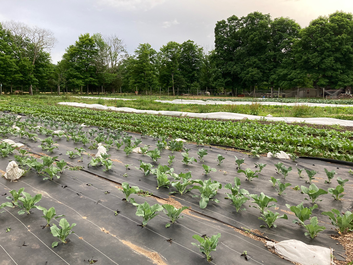 Long Table Farm Receives Award - Lyme Land Conservation Trust