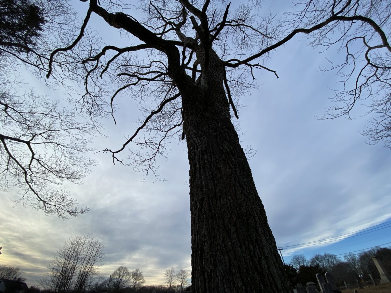 Photos of Distinction Fall 2022 announced - Lyme Land Conservation Trust