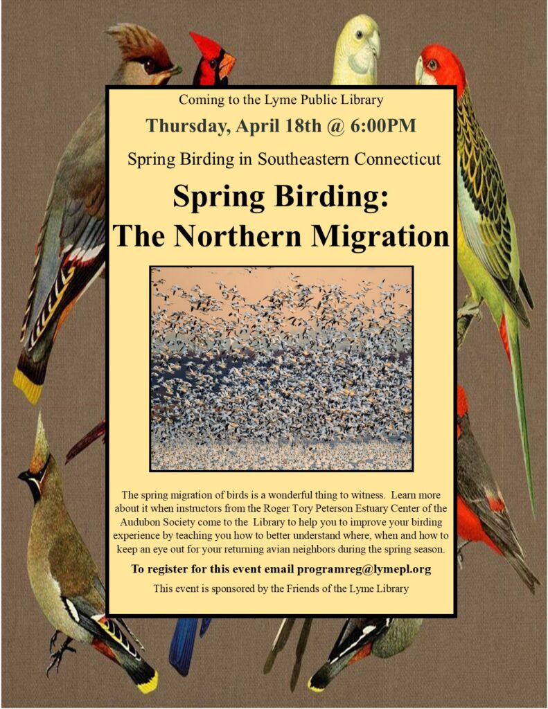 Spring Birding – Northern Migration – Lyme Land Conservation Trust